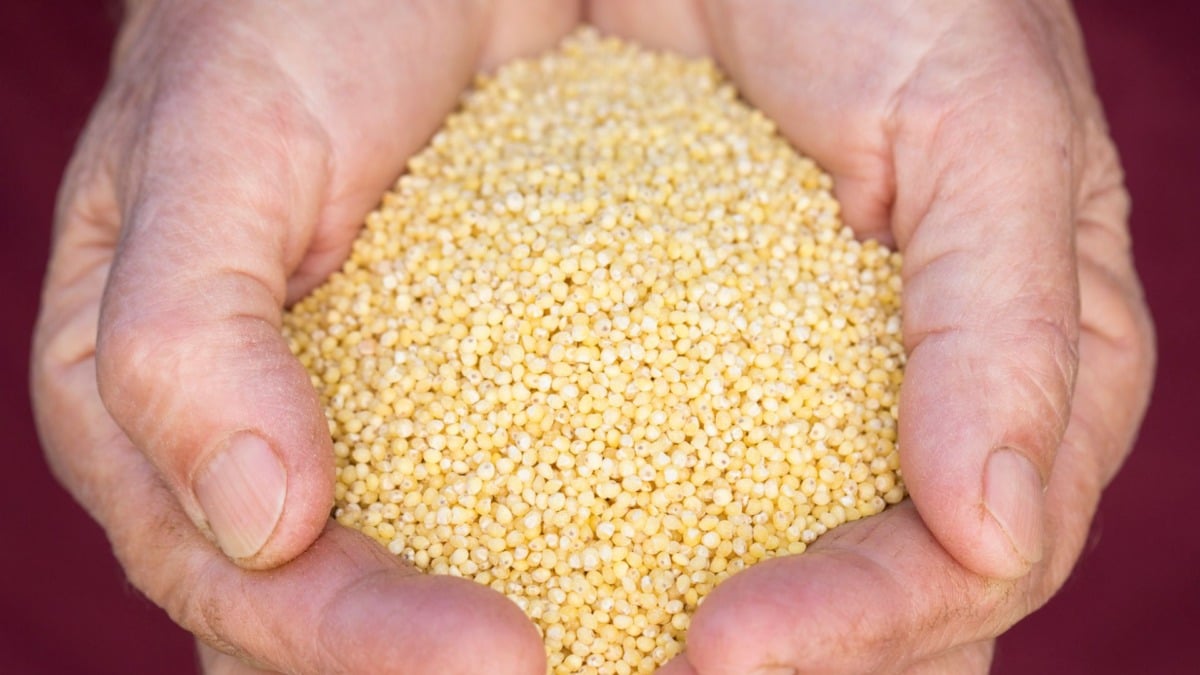 Hirse kochen im Thermomix® • in nur 15 Minuten